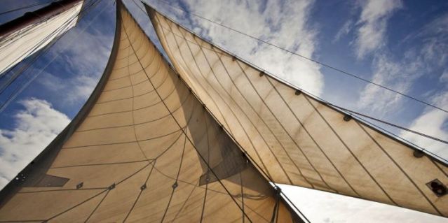 The Writer’s Guide to Sails | Rebecca Shedd - Author