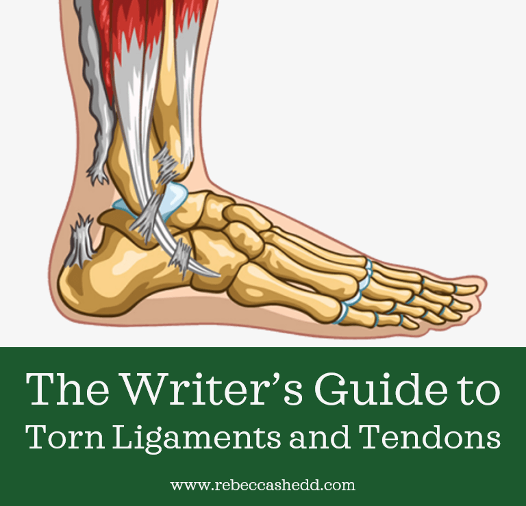 The Writer’s Guide to Torn Ligaments and Tendons | Rebecca Shedd - Author