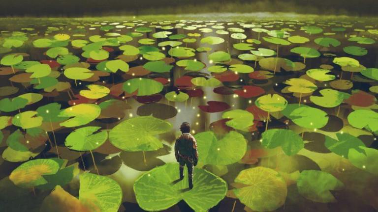 The Worldbuilder’s Toolkit: Swamps and Marshlands | Rebecca Shedd - Author